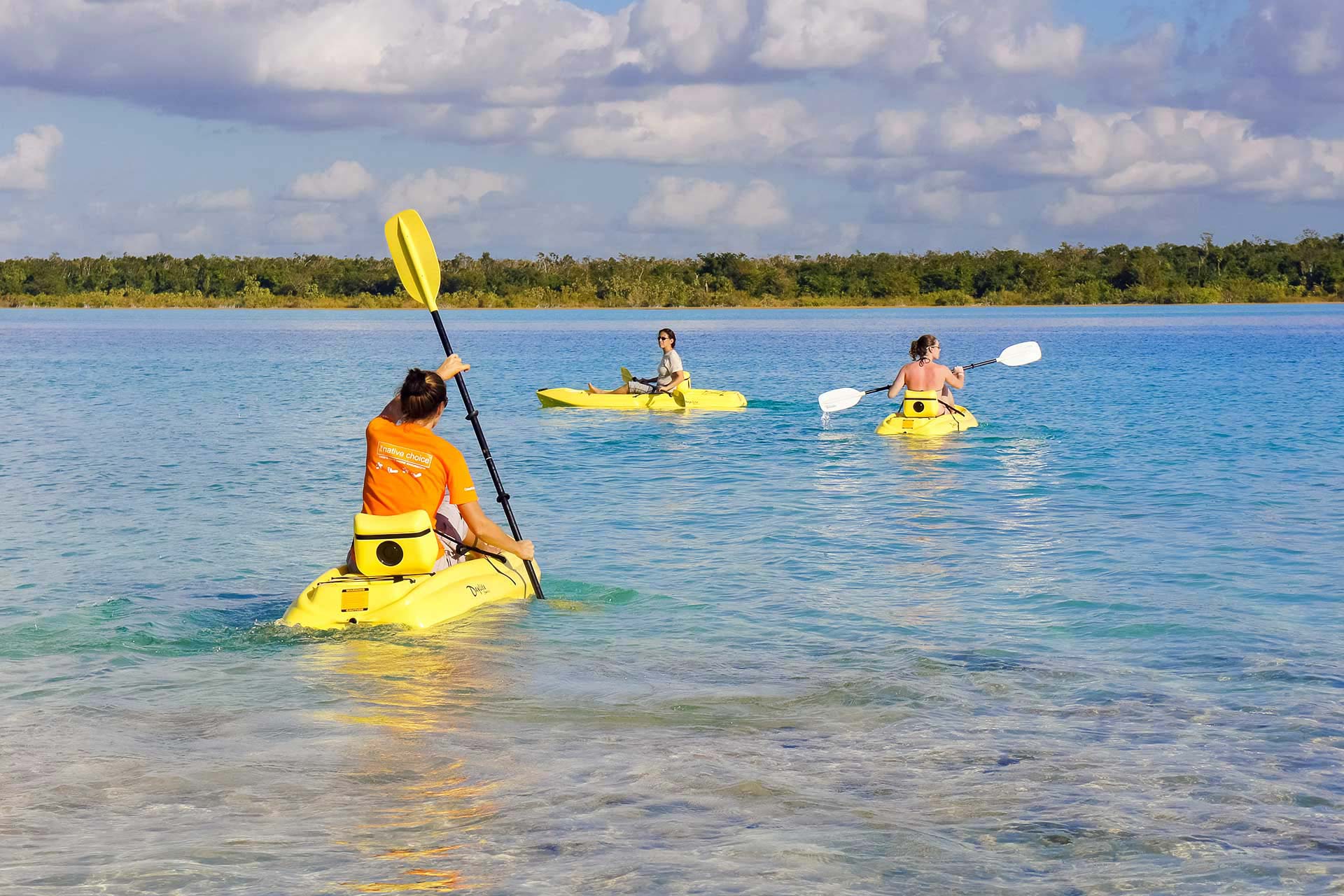 Compass Tours